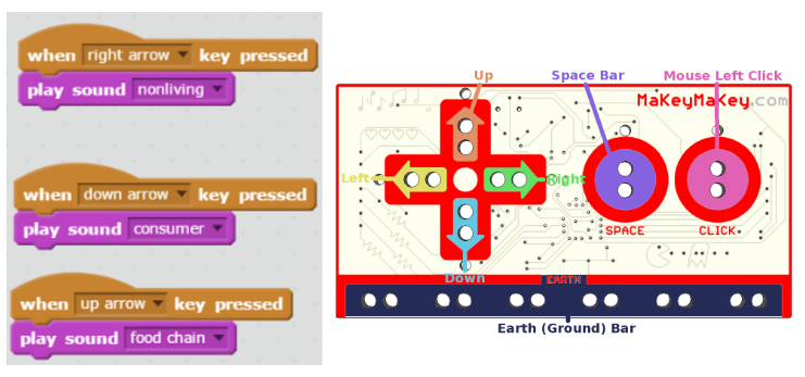 Connecting MakeyMakey - Teaching Forward